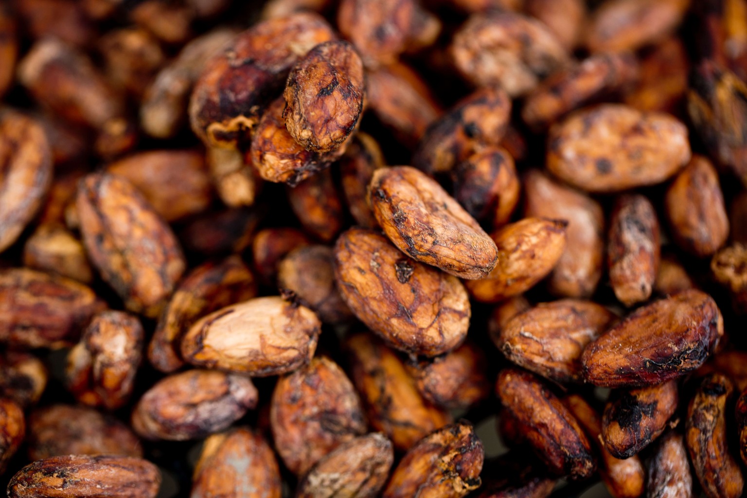 ️☀️ Von der Kakaobohne zur Schokolade | Alle Infos und Fotos